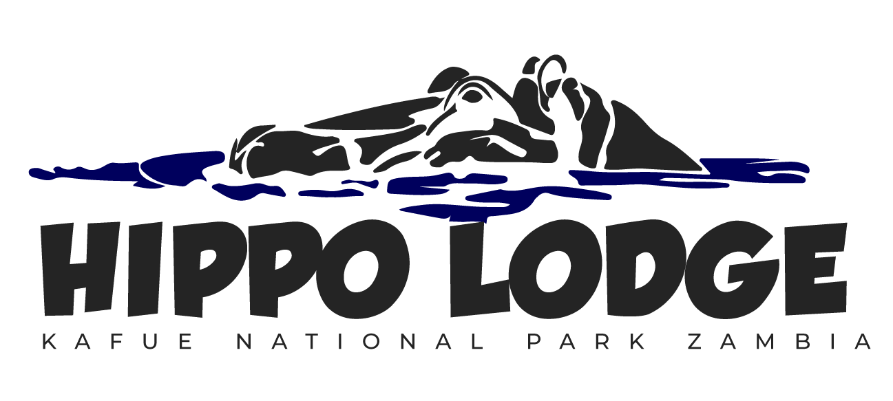 Accommodation – Hippo Lodge